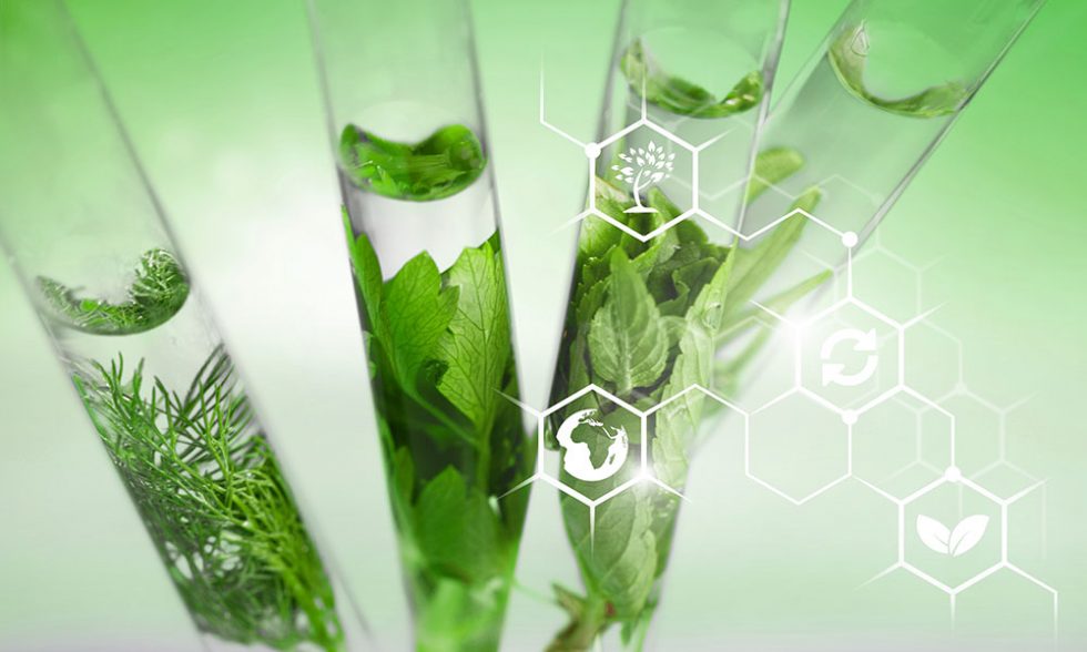 NM Bioscience Authority | A Bioscience Center of Excellence